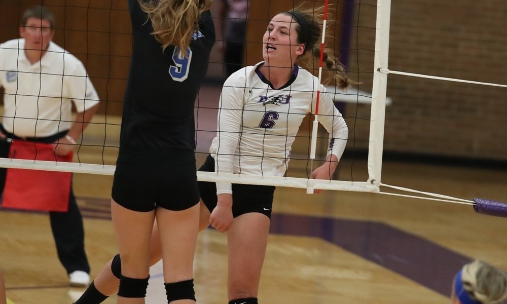 Madison May - 2017 - Women's Volleyball - Niagara University Athletics