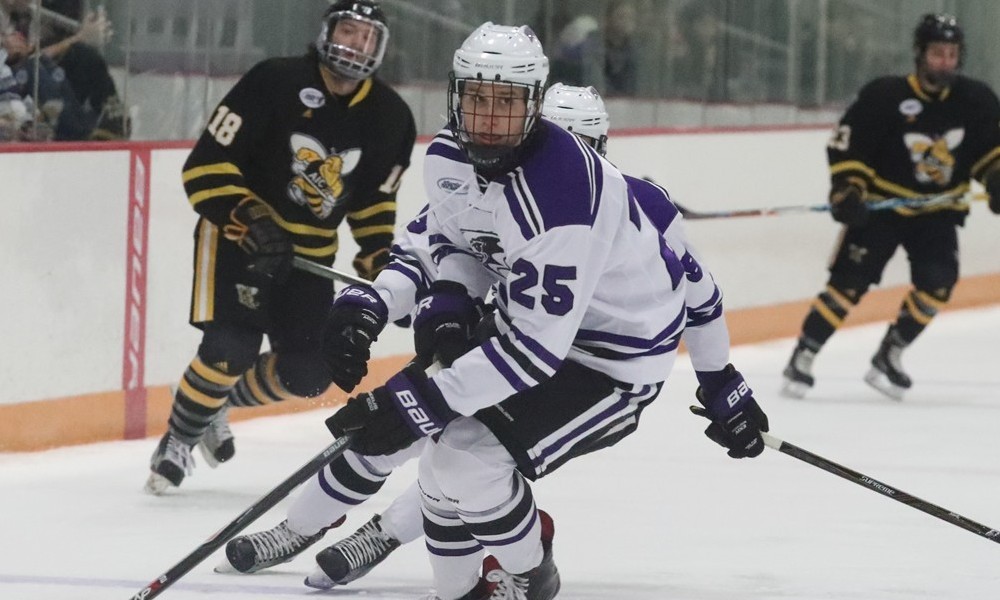 Andrew Pizzo - 2016-17 - Men's Ice Hockey - Niagara University Athletics
