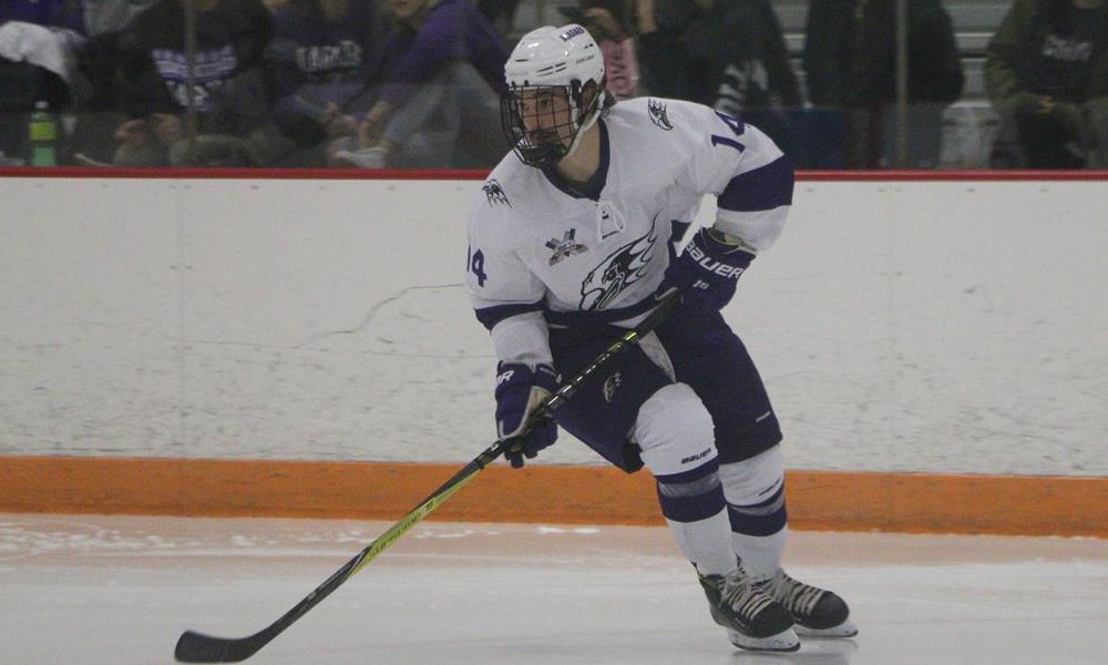 Johnny Curran - 2018-19 - Men's Ice Hockey - Niagara University Athletics