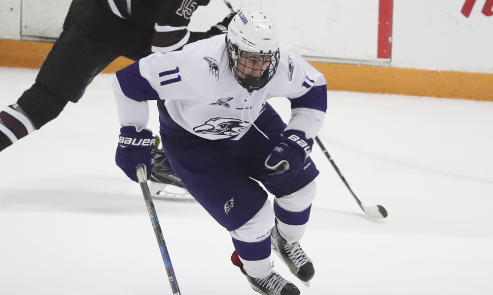 Derian Plouffe - 2017-18 - Men's Ice Hockey - Niagara University Athletics