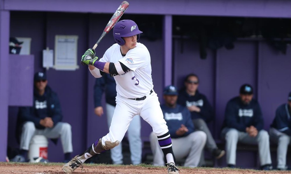 Geoff Seto - 2017 - Baseball - Niagara University Athletics