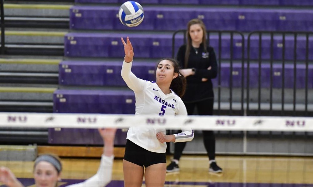 Volleyball Defeats Siena In Five Sets To Sweep Season Series - Niagara ...