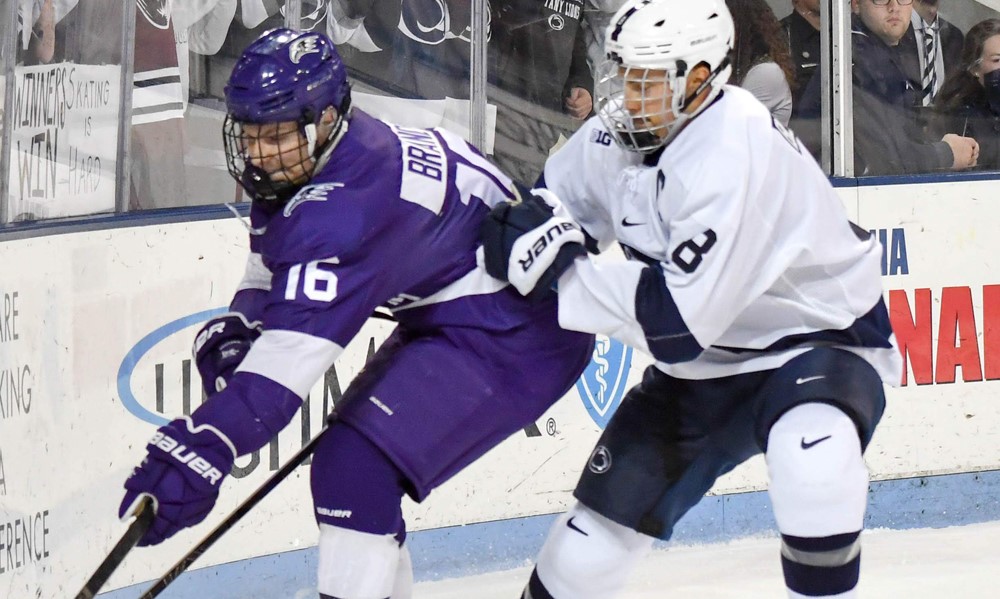 Jared Brandt - 2020-21 - Men's Ice Hockey - Niagara University Athletics