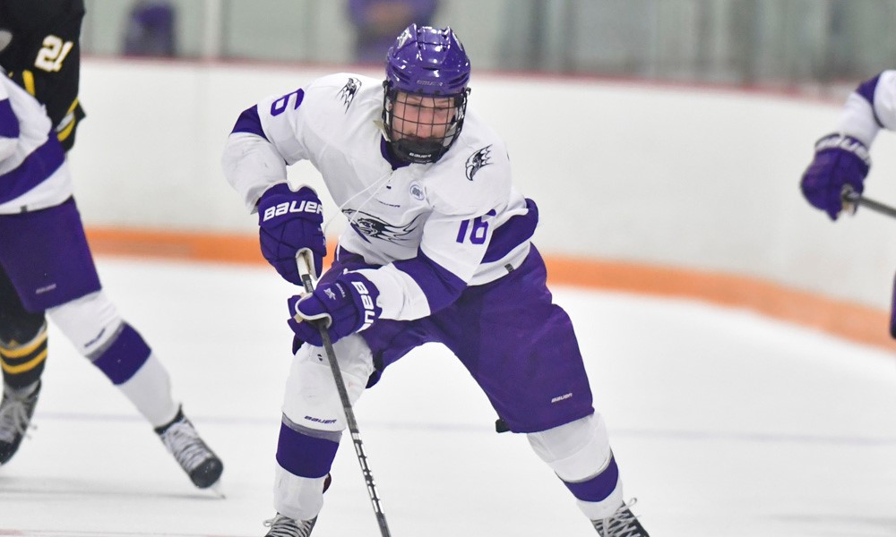 Jared Brandt - 2020-21 - Men's Ice Hockey - Niagara University Athletics