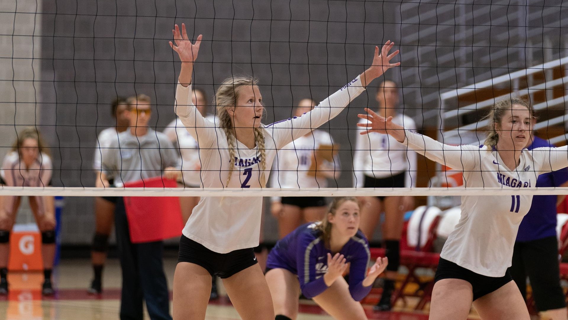 Cameron Maris - 2019 - Women's Volleyball - Niagara University Athletics