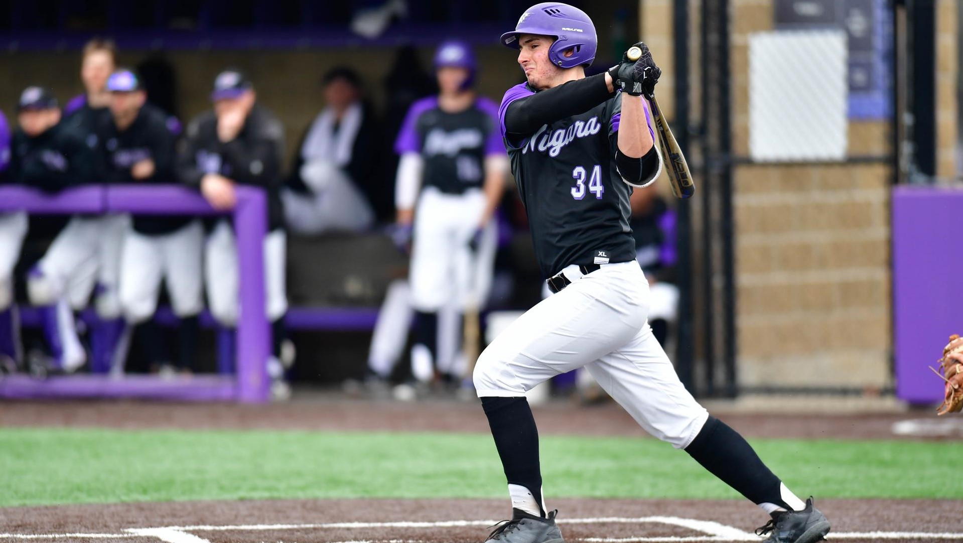 Peter Battaglia - 2021 - Baseball - Niagara University Athletics