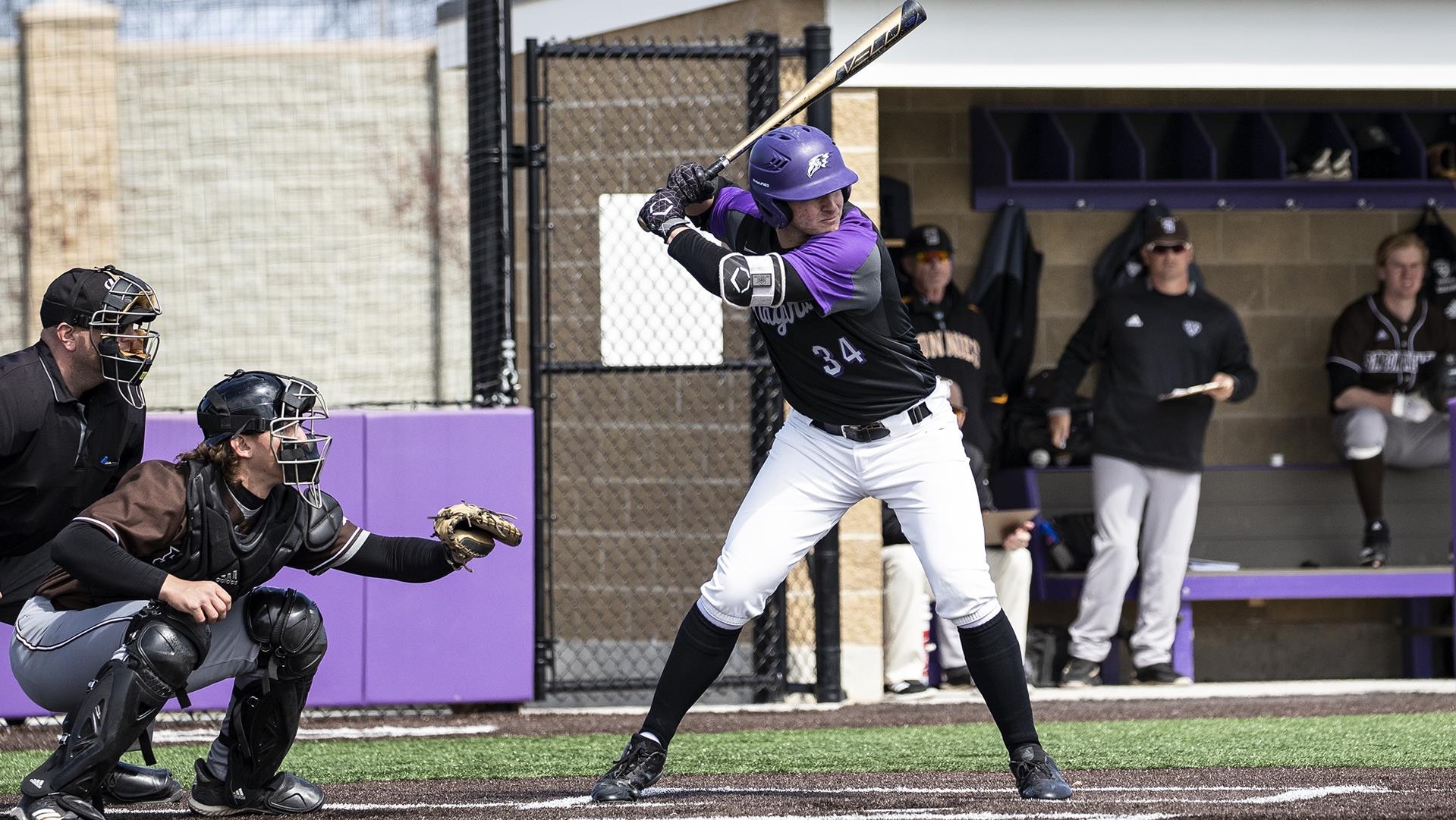Peter Battaglia - 2021 - Baseball - Niagara University Athletics