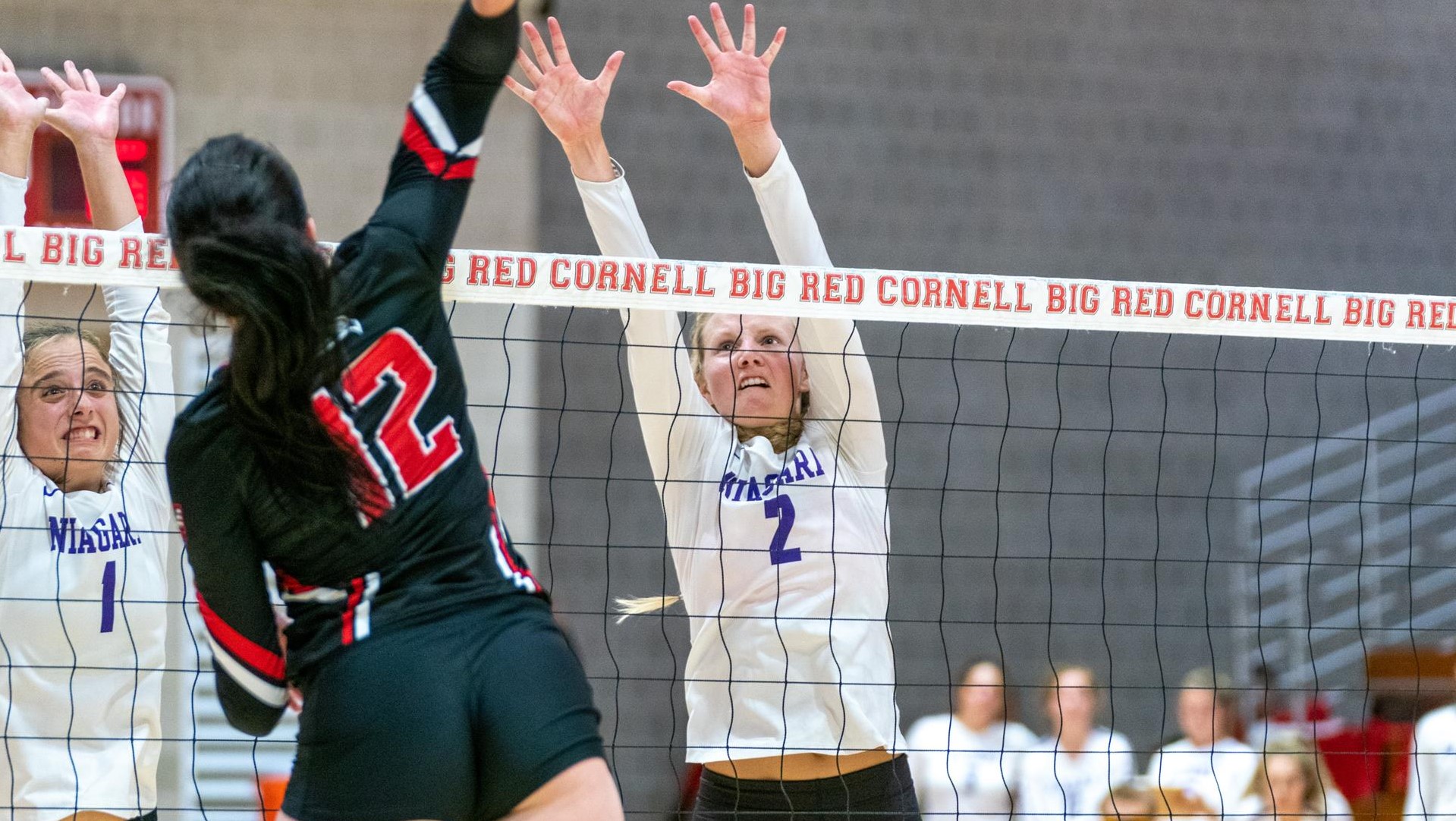 Cameron Maris - 2019 - Women's Volleyball - Niagara University Athletics