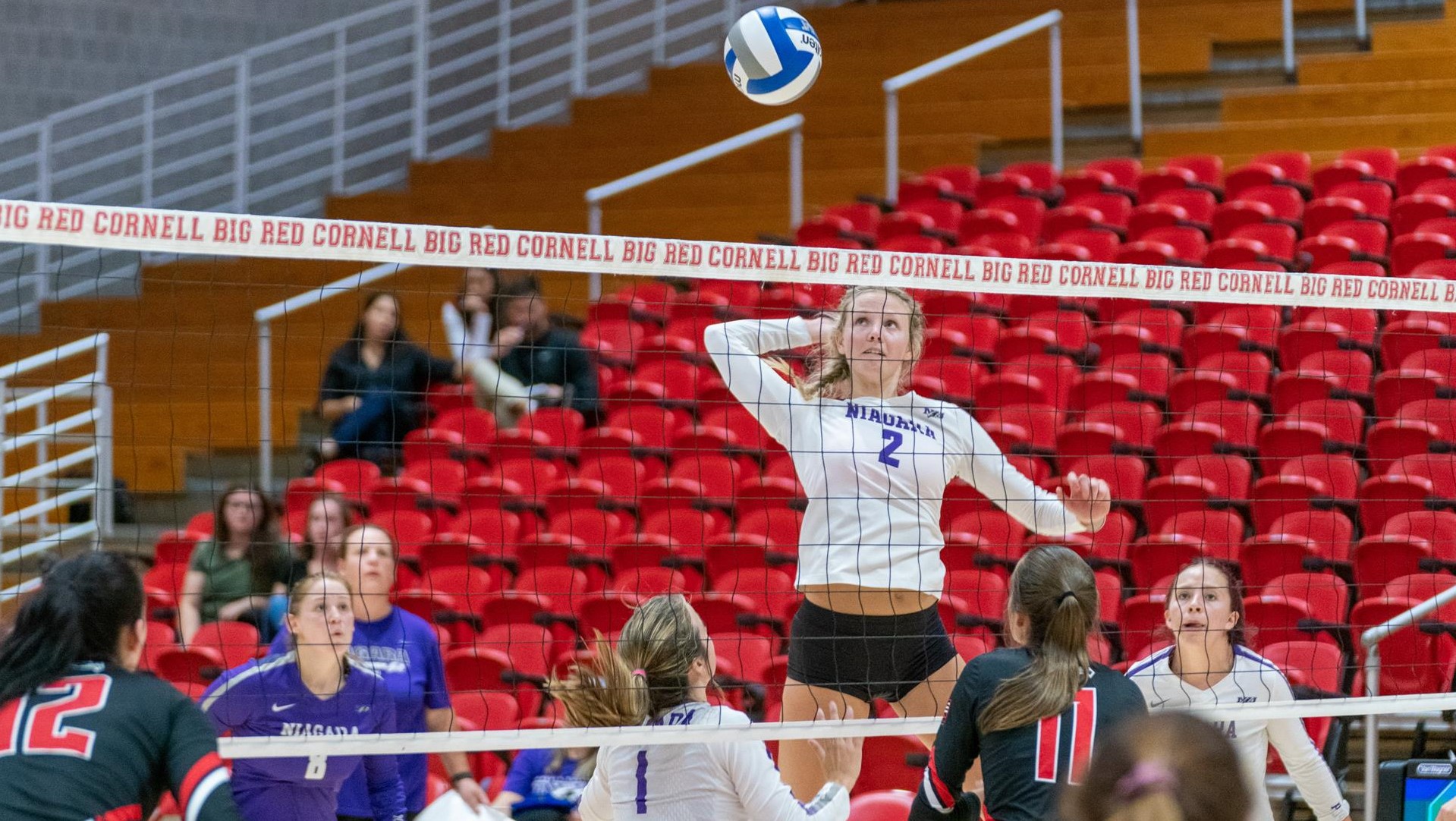 Cameron Maris - 2019 - Women's Volleyball - Niagara University Athletics