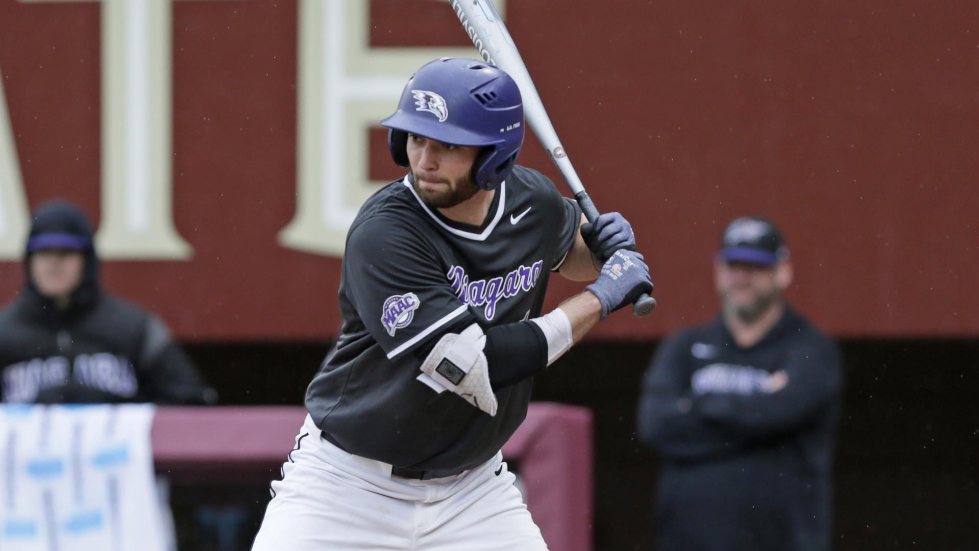 Marty Cole - 2023 - Baseball - Niagara University Athletics
