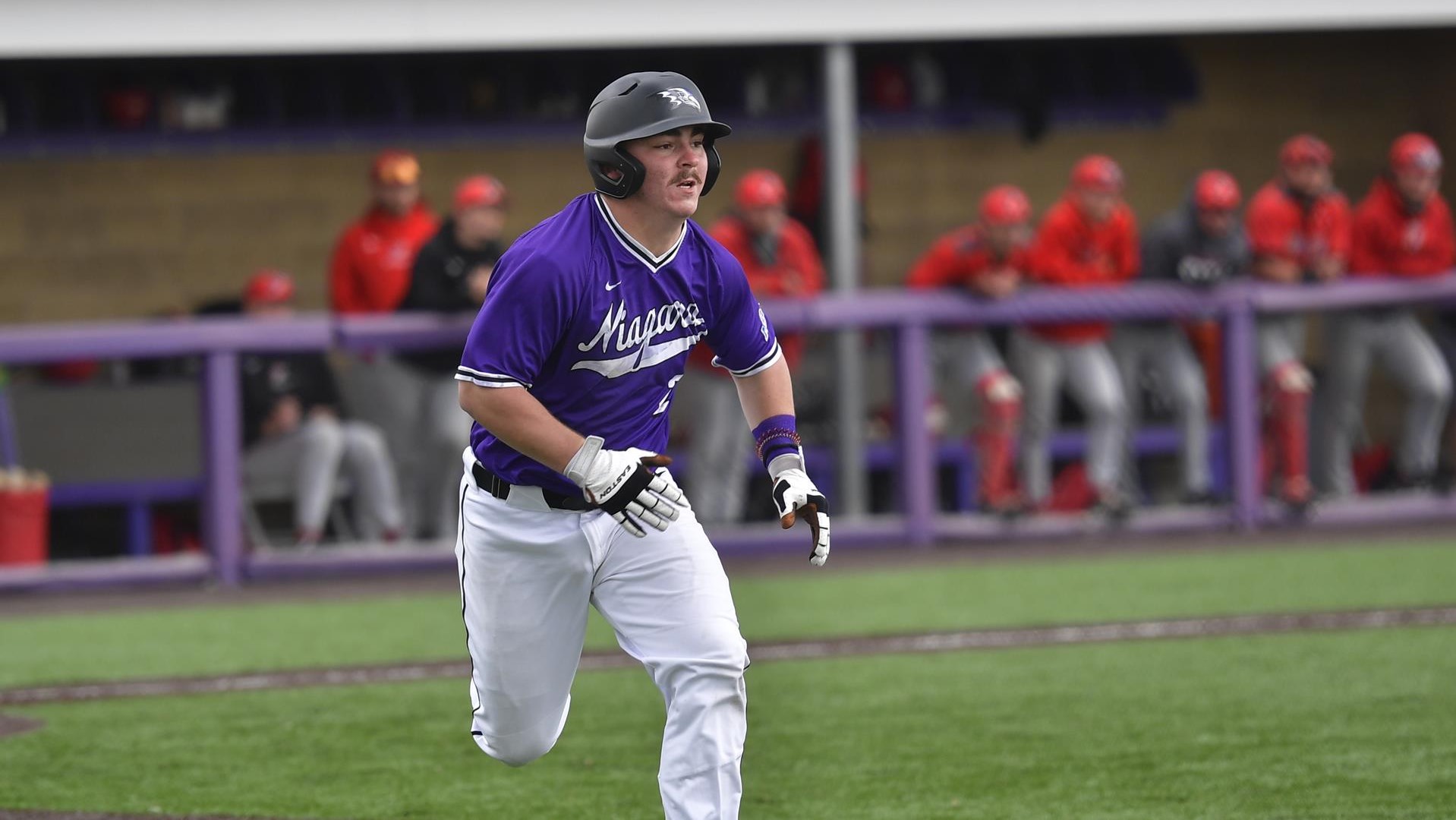 Cole O'Connor - 2023 - Baseball - Niagara University Athletics