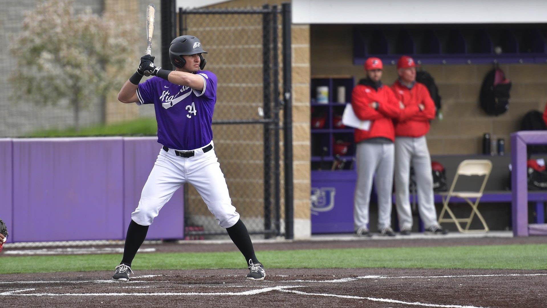 Peter Battaglia - 2021 - Baseball - Niagara University Athletics