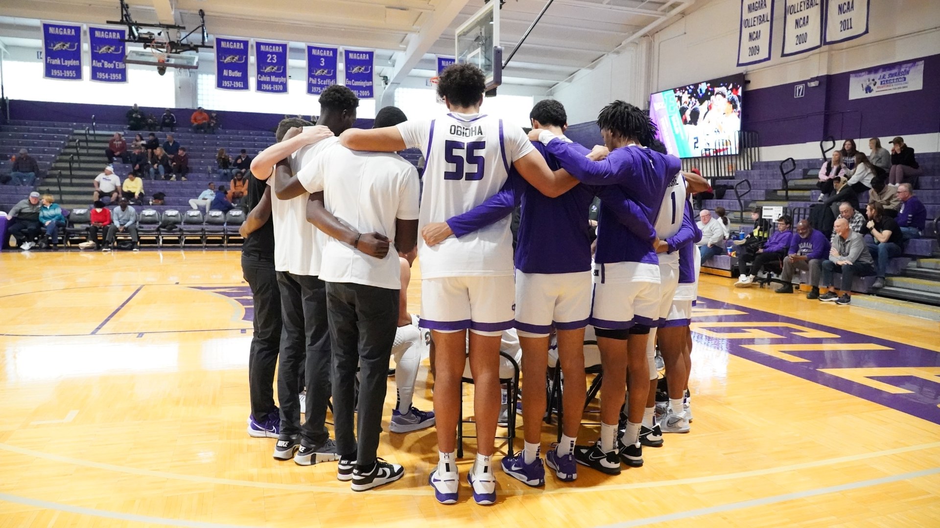 Purple Eagles Soar Past D'Youville Wednesday Afternoon - Niagara ...