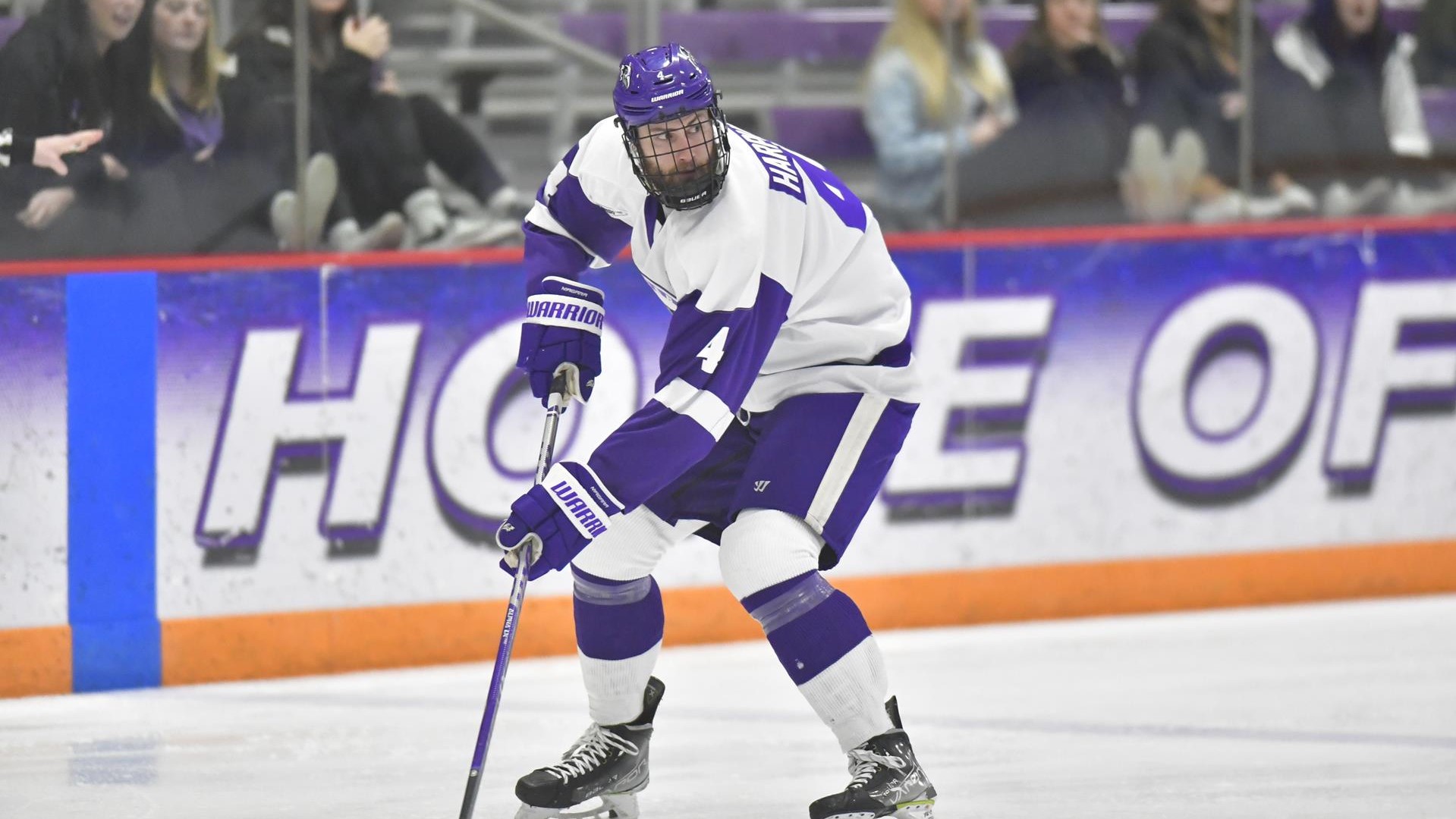 Chris Harpur - 2021-22 - Men's Ice Hockey - Niagara University Athletics