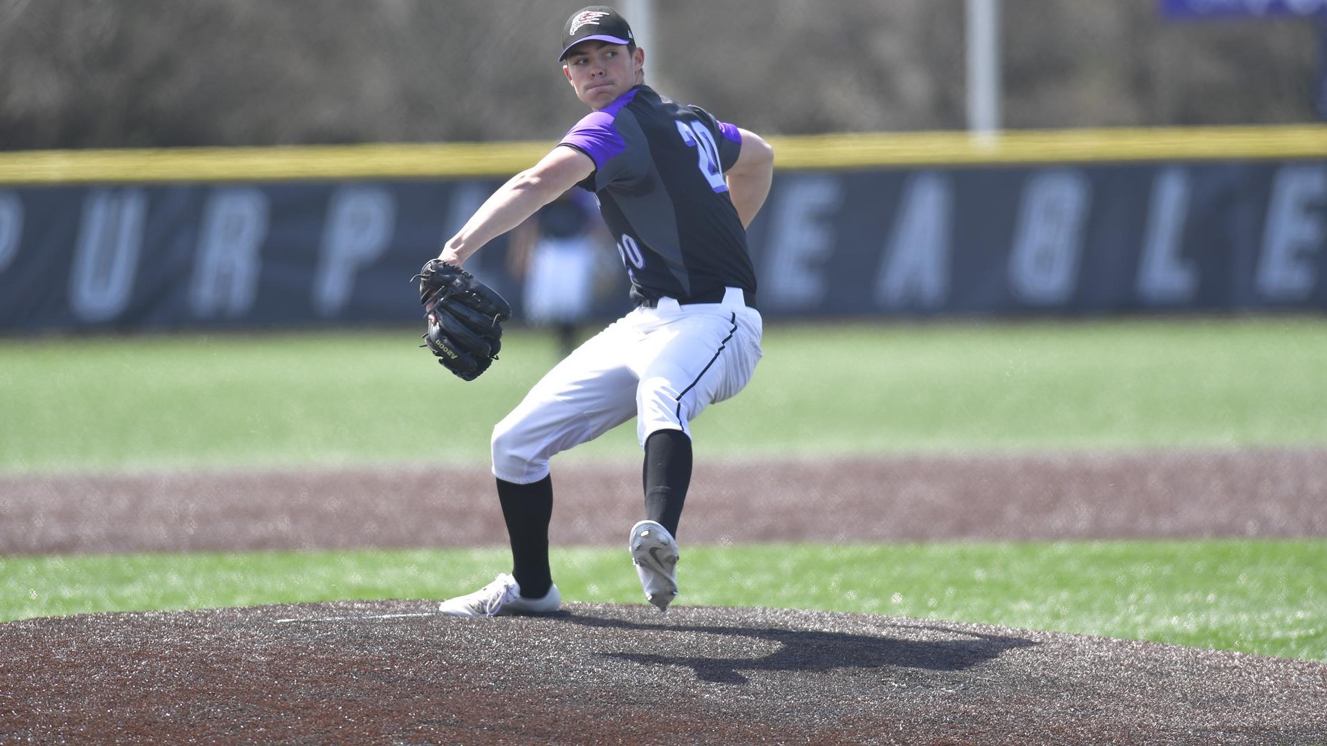 Marcus Cashman - 2024 - Baseball - Niagara University Athletics