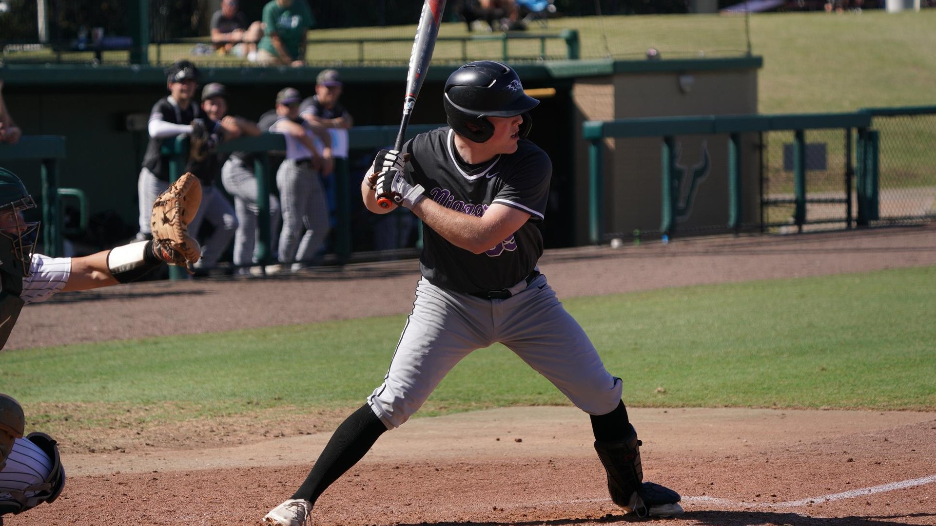 Matt Ward - 2024 - Baseball - Niagara University Athletics