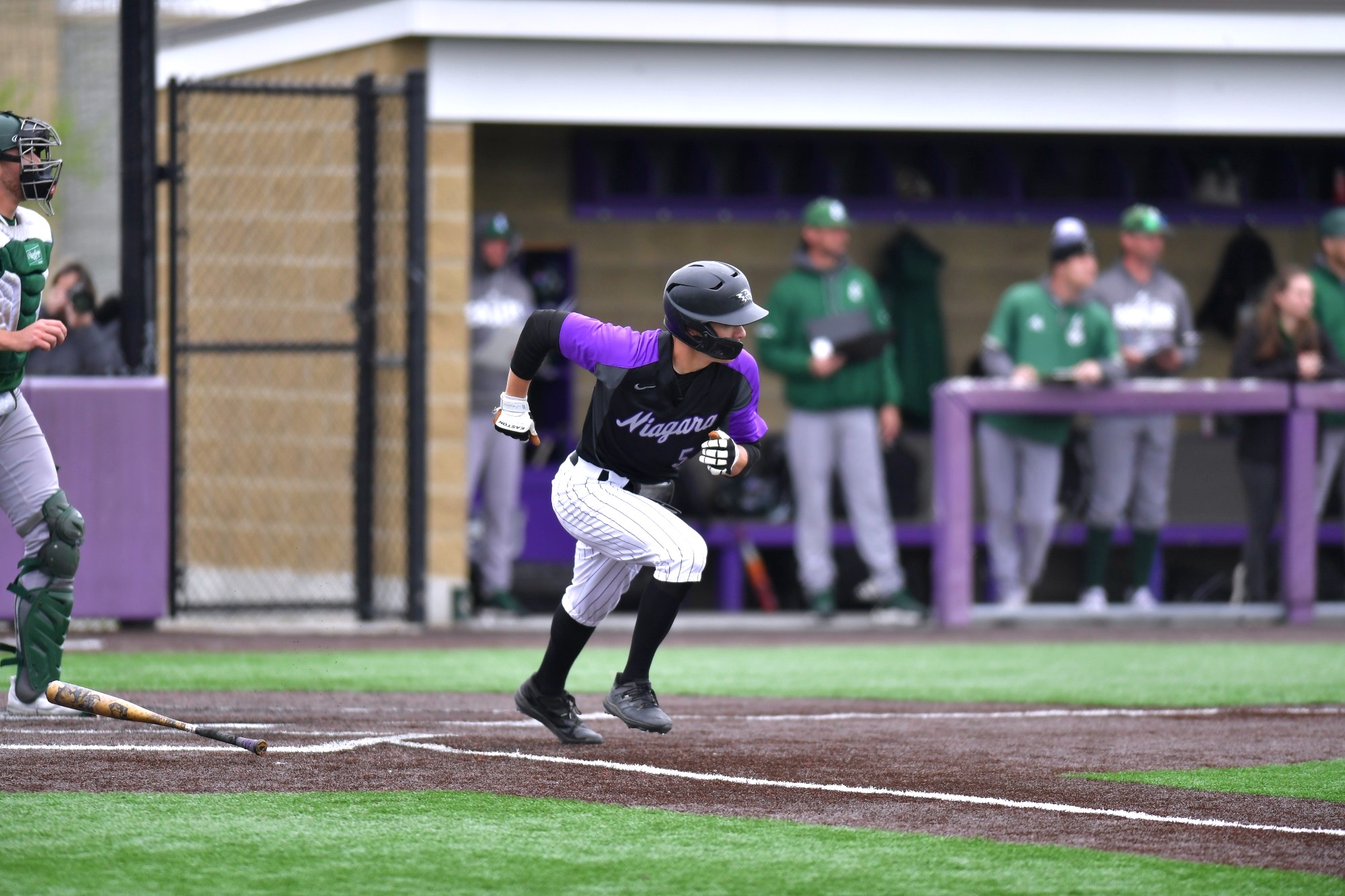 Nick Groves - 2024 - Baseball - Niagara University Athletics