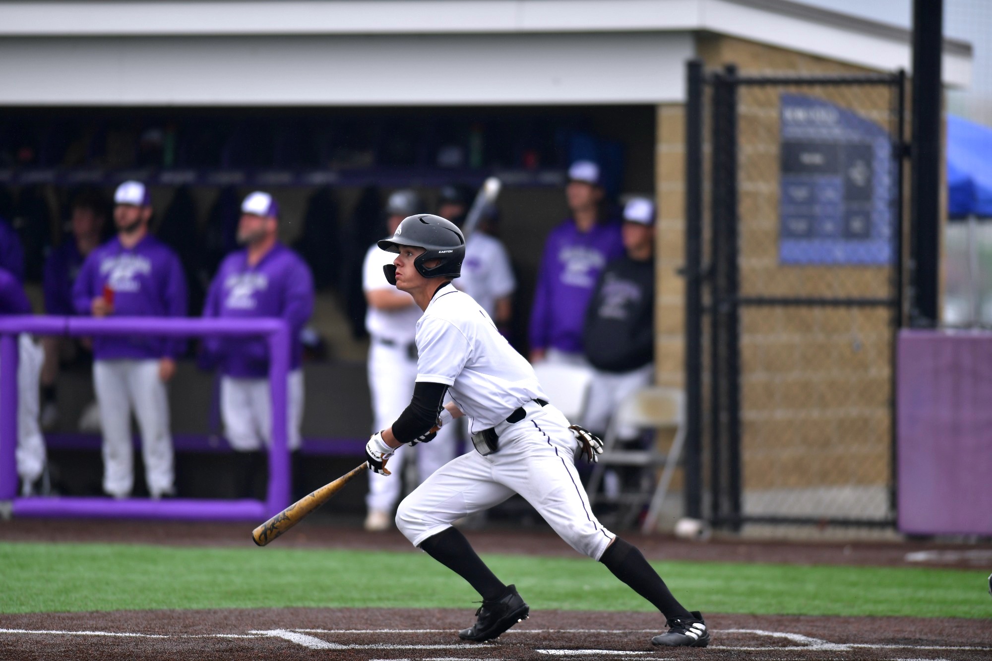 Nick Groves - 2024 - Baseball - Niagara University Athletics