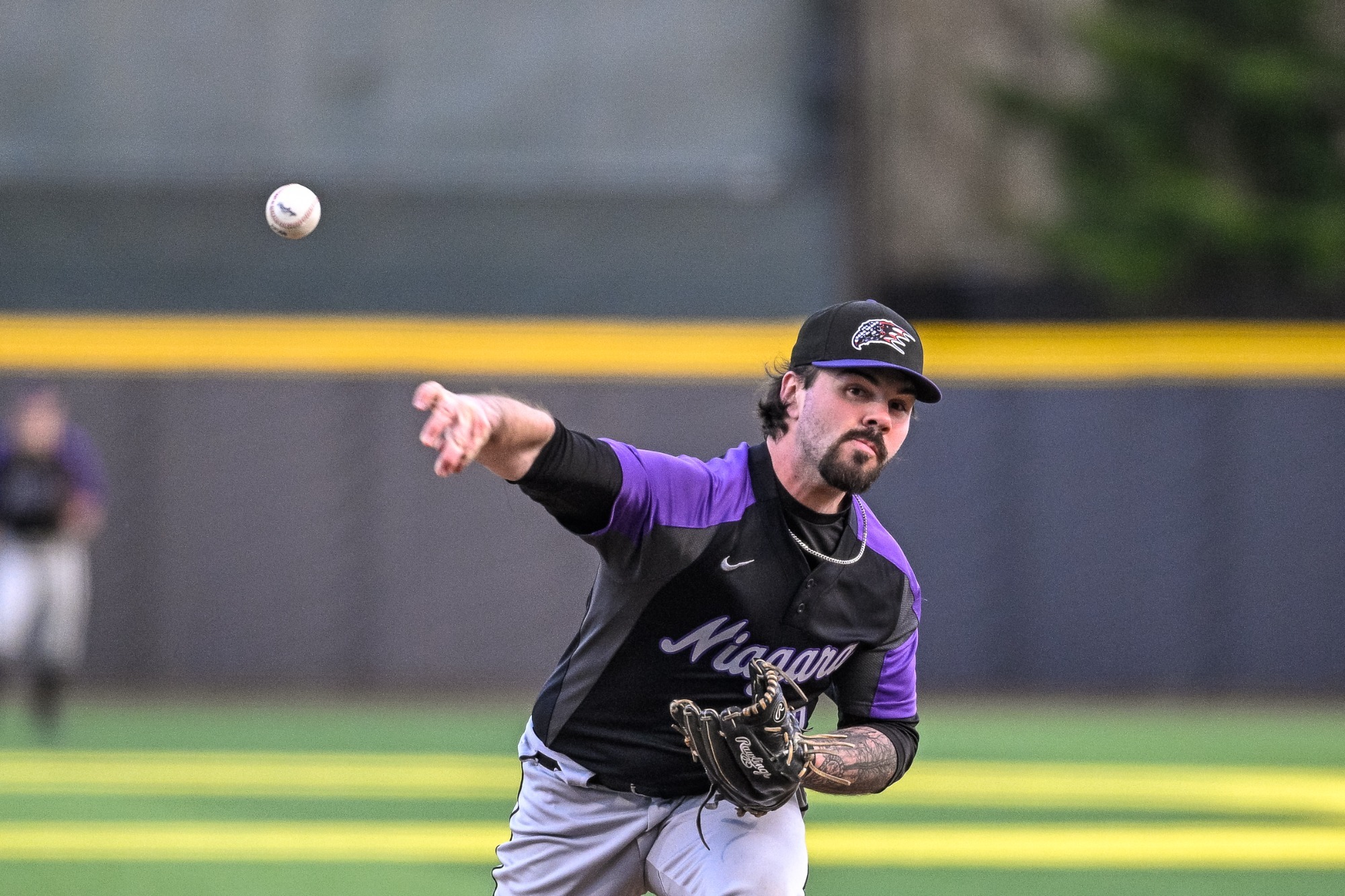 Zach Cameron - 2024 - Baseball - Niagara University Athletics
