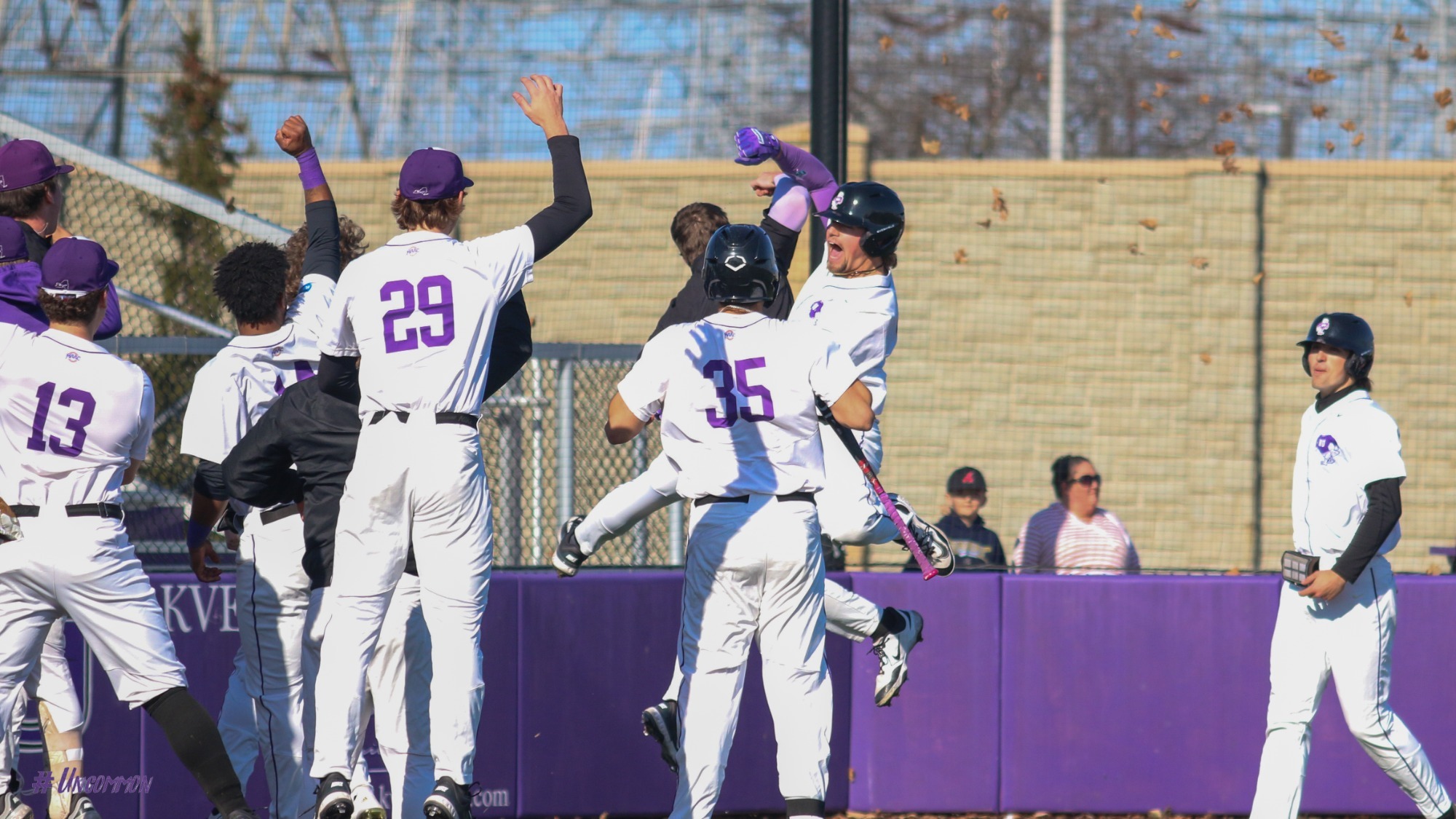 Baseball Announces 2025 Schedule - Niagara University Athletics