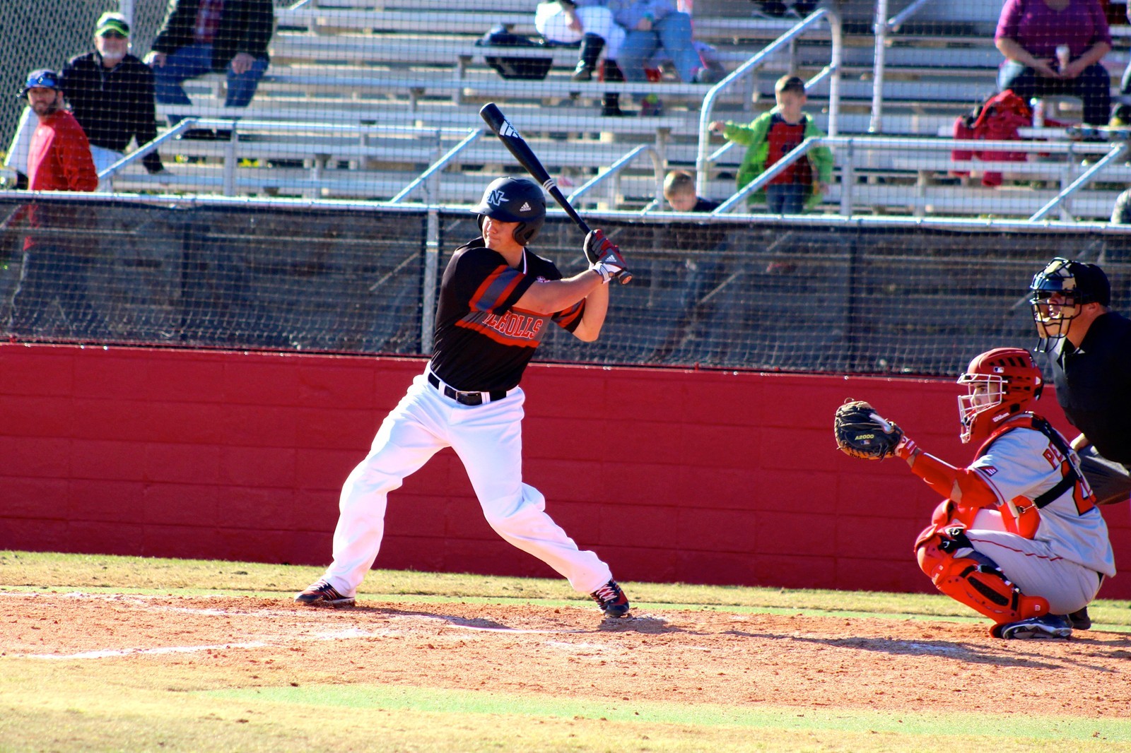 Dave Stevens Baseball