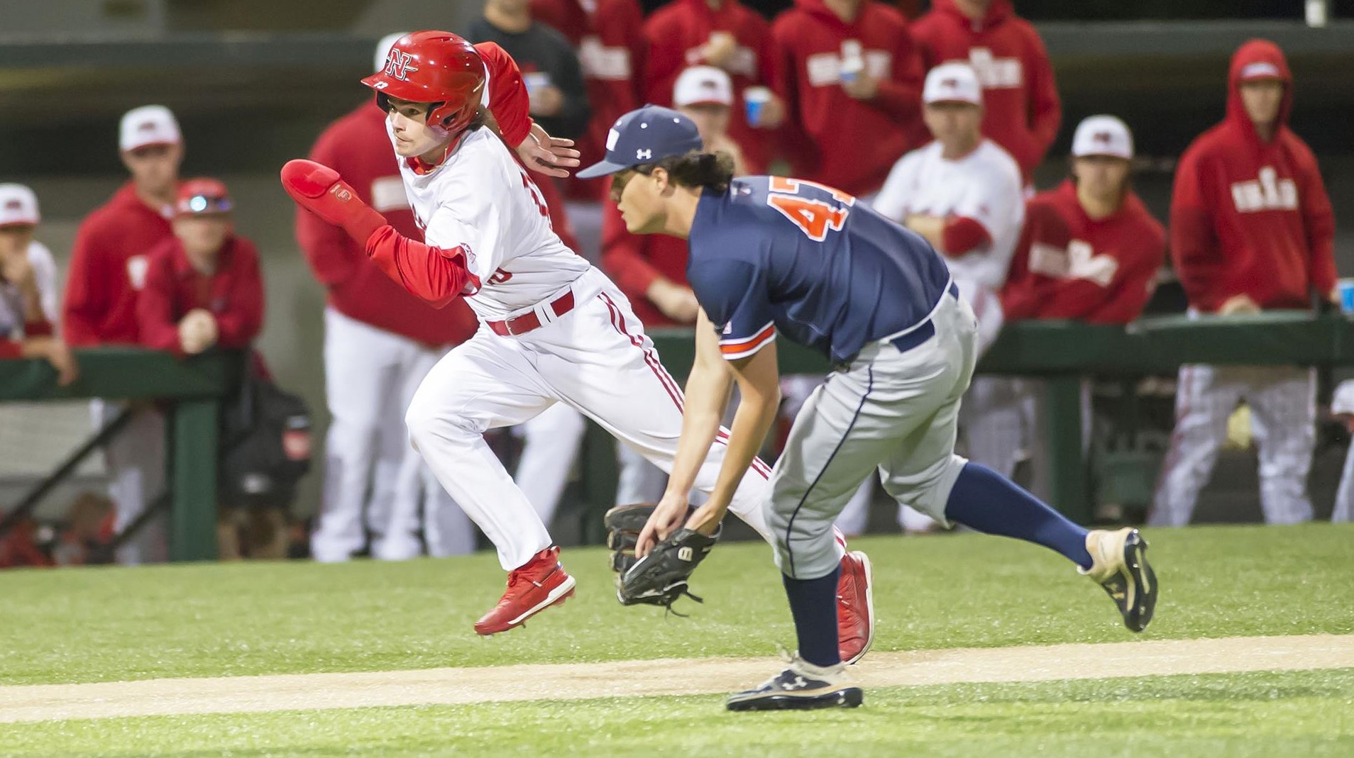 Dane Simon - Baseball - Nicholls State University Athletics