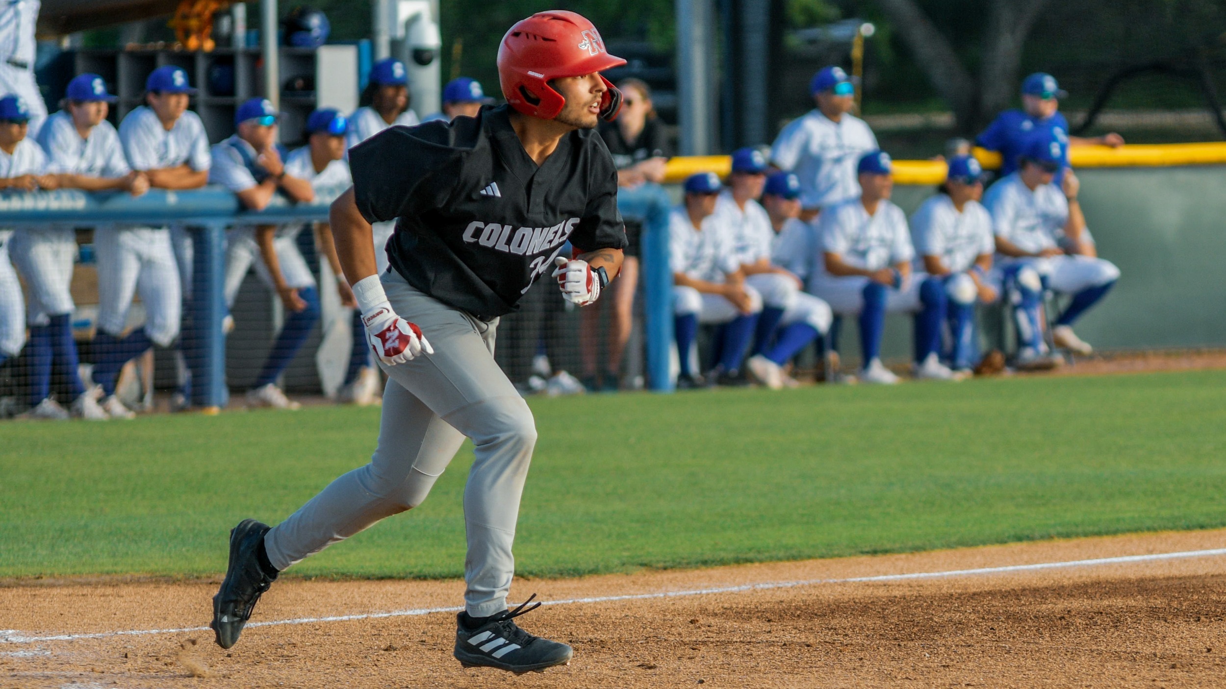 Gerardo Villarreal - Baseball - Nicholls State University Athletics