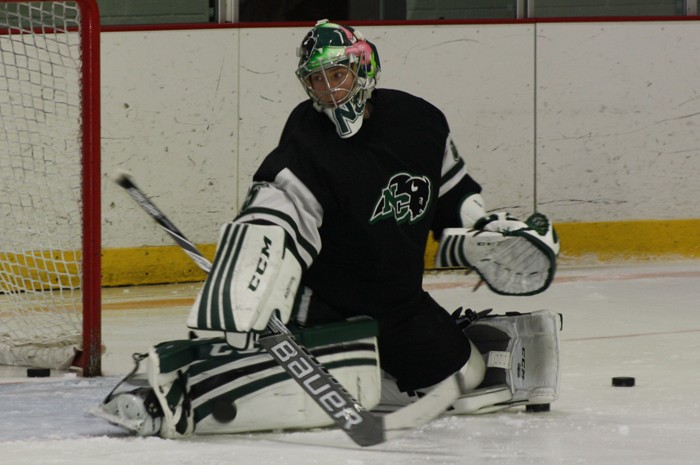 Patrick Salkind - Men's Ice Hockey - Nichols College Athletics