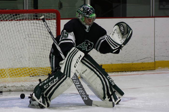 Patrick Salkind - Men's Ice Hockey - Nichols College Athletics