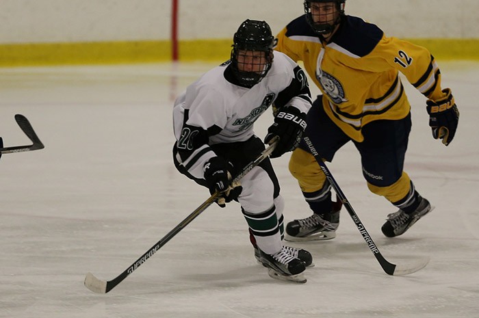Evan Schwartz - Men's Ice Hockey - Nichols College Athletics