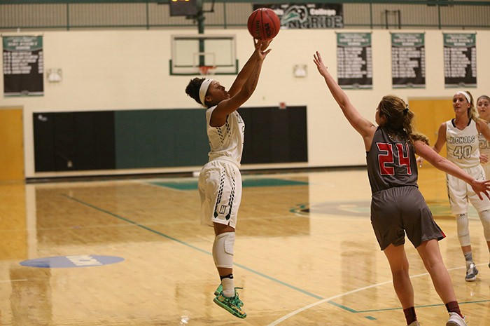 Callie Andrews - Women's Basketball - Nichols College Athletics