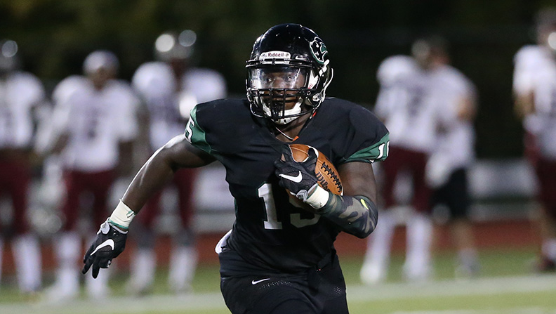 Bison defeat AMCats in home opener - Nichols College Athletics