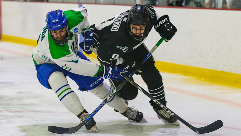 Daniele Iasenza - Men's Ice Hockey - Nichols College Athletics