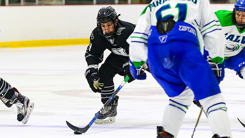 Daniele Iasenza - Men's Ice Hockey - Nichols College Athletics