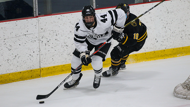 Lucas Andersson - Men's Ice Hockey - Nichols College Athletics