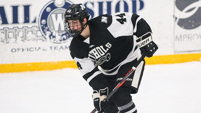 Lucas Andersson - Men's Ice Hockey - Nichols College Athletics