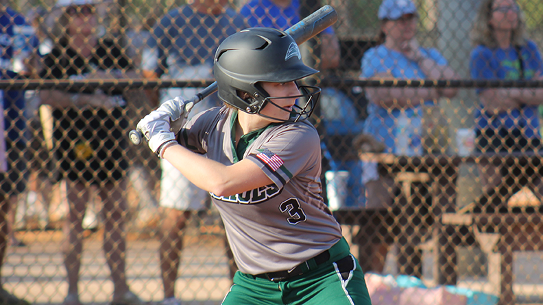 Colleen Callahan - Softball - Nichols College Athletics