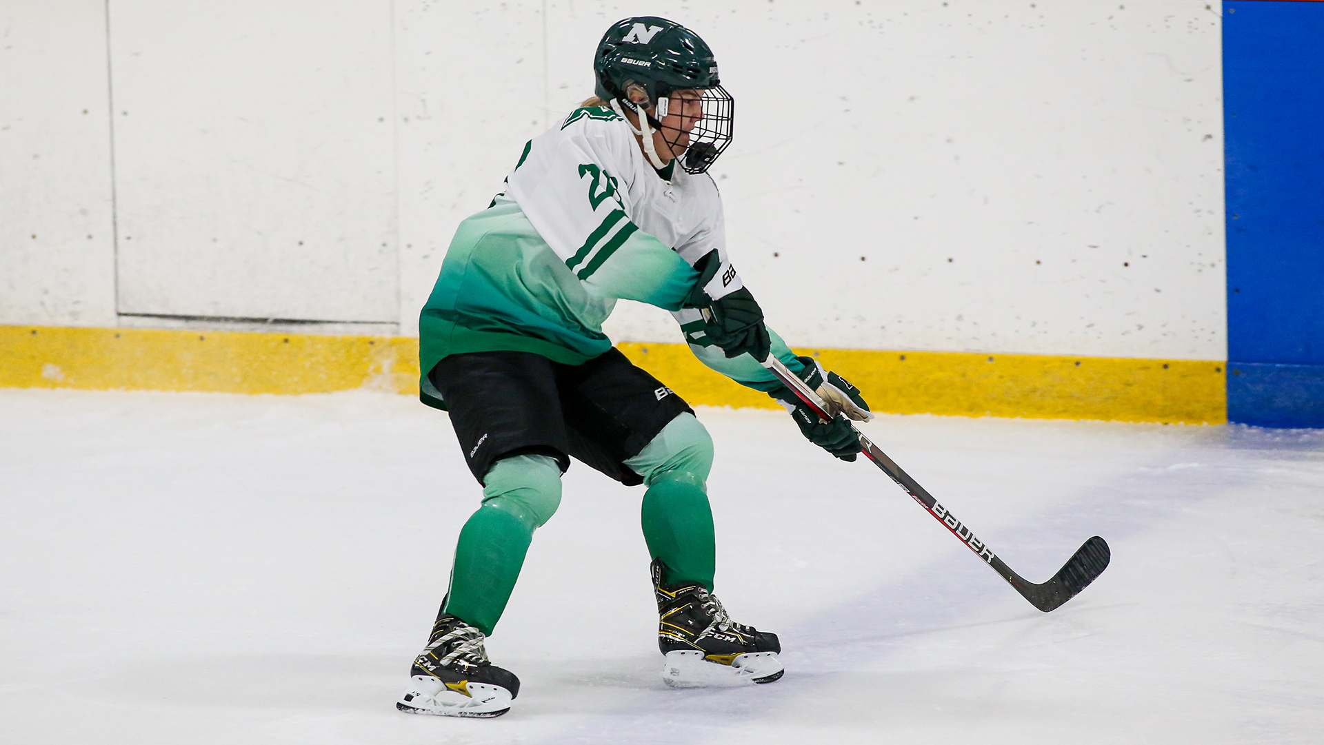 Nichols College Hockey Schedule at Jose Boyd blog
