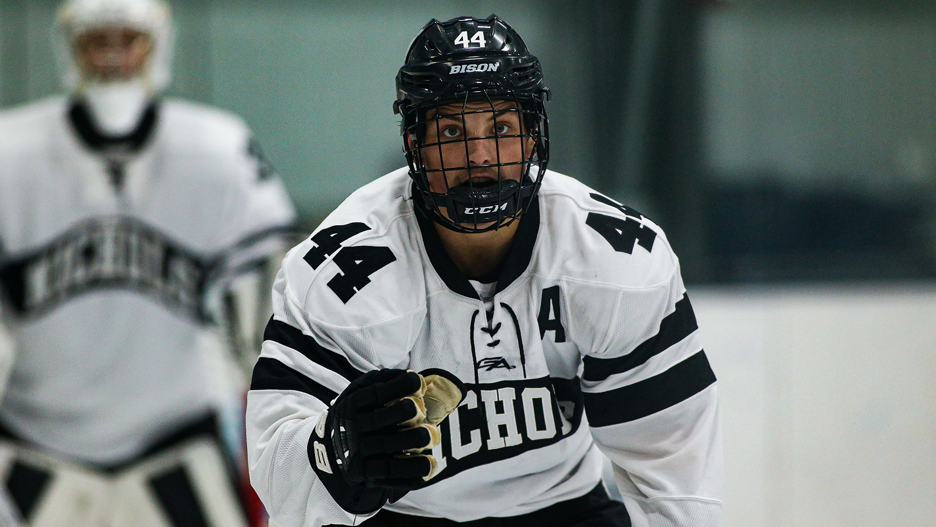 Lucas Andersson - Men's Ice Hockey - Nichols College Athletics