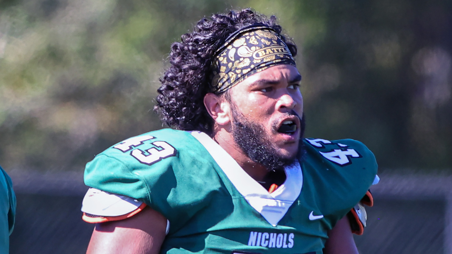 Daenin Walker - Football - Nichols College Athletics