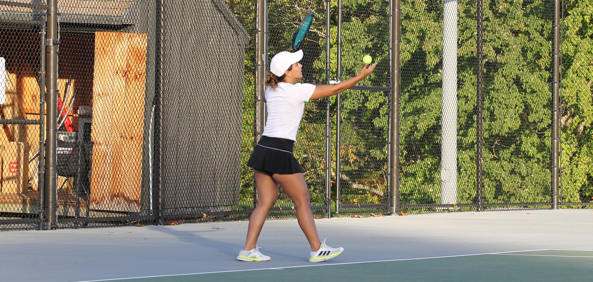 Women’s Tennis Falls in Regular-Season Finale at Brandeis - Nichols ...