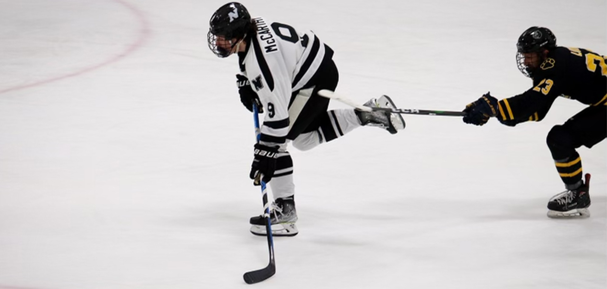 Quinn McCarthy - Men's Ice Hockey - Nichols College Athletics