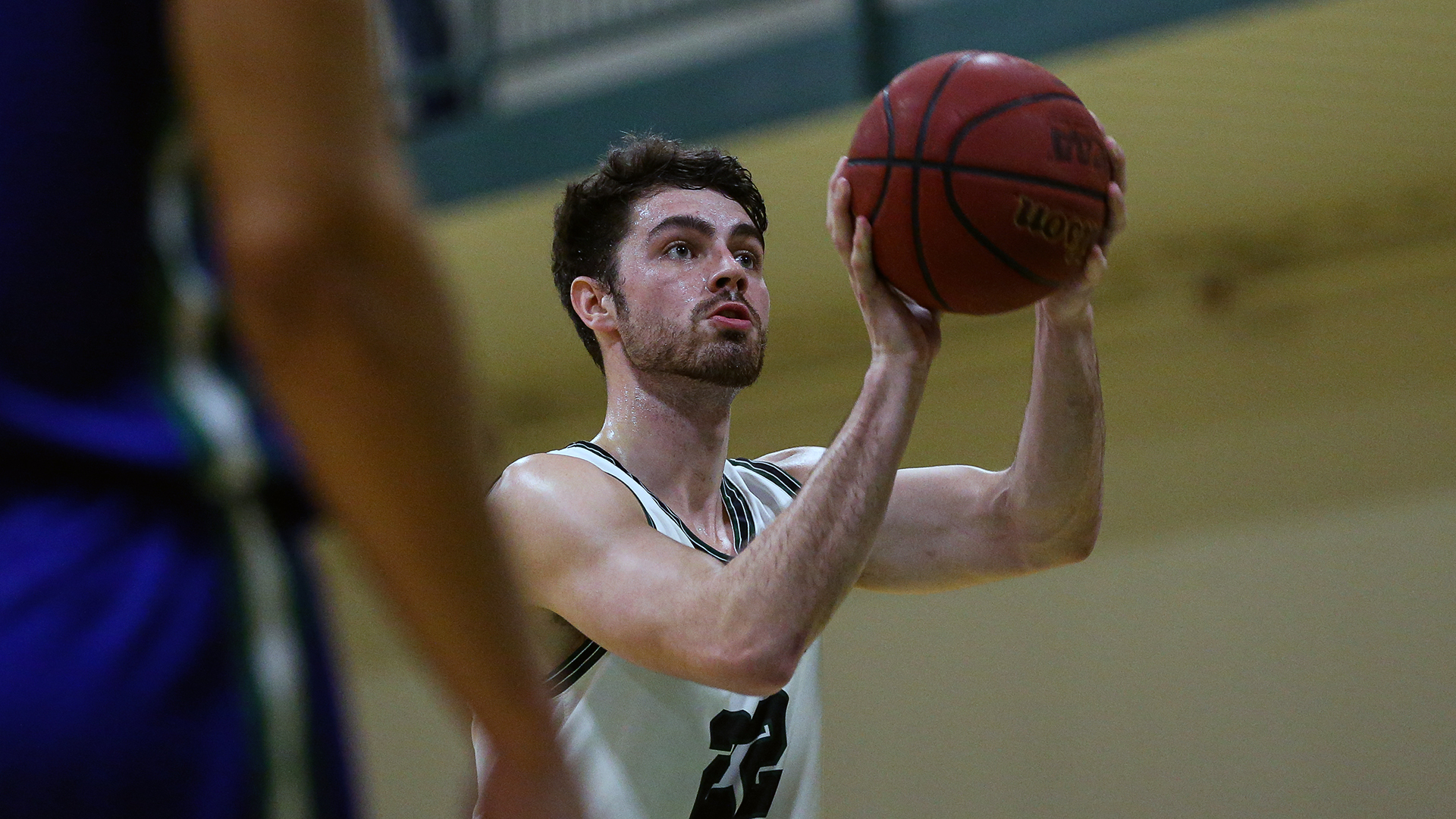 Jason O'Regan - Men's Basketball - Nichols College Athletics