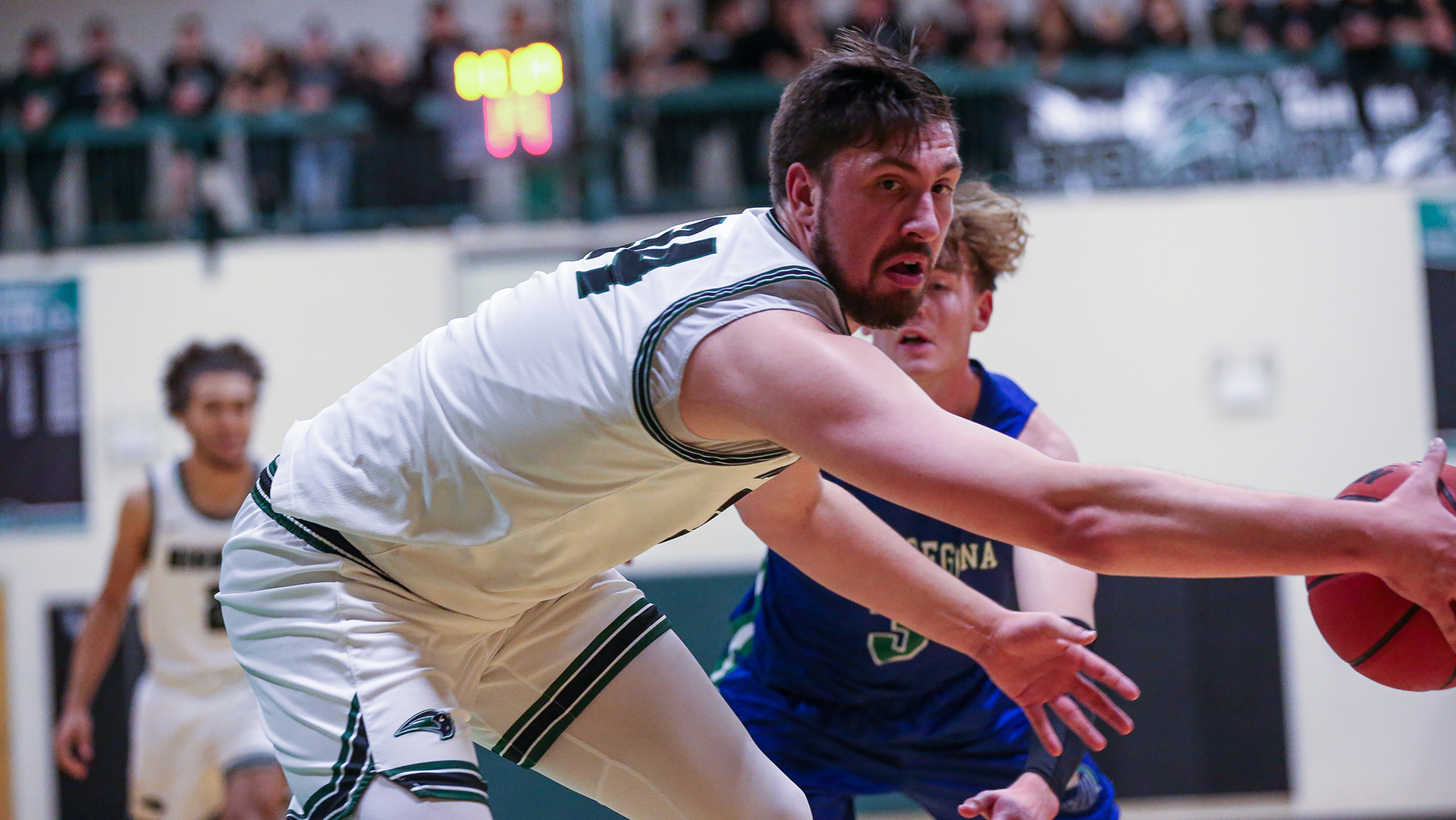 Matt Morrow - Men's Basketball - Nichols College Athletics