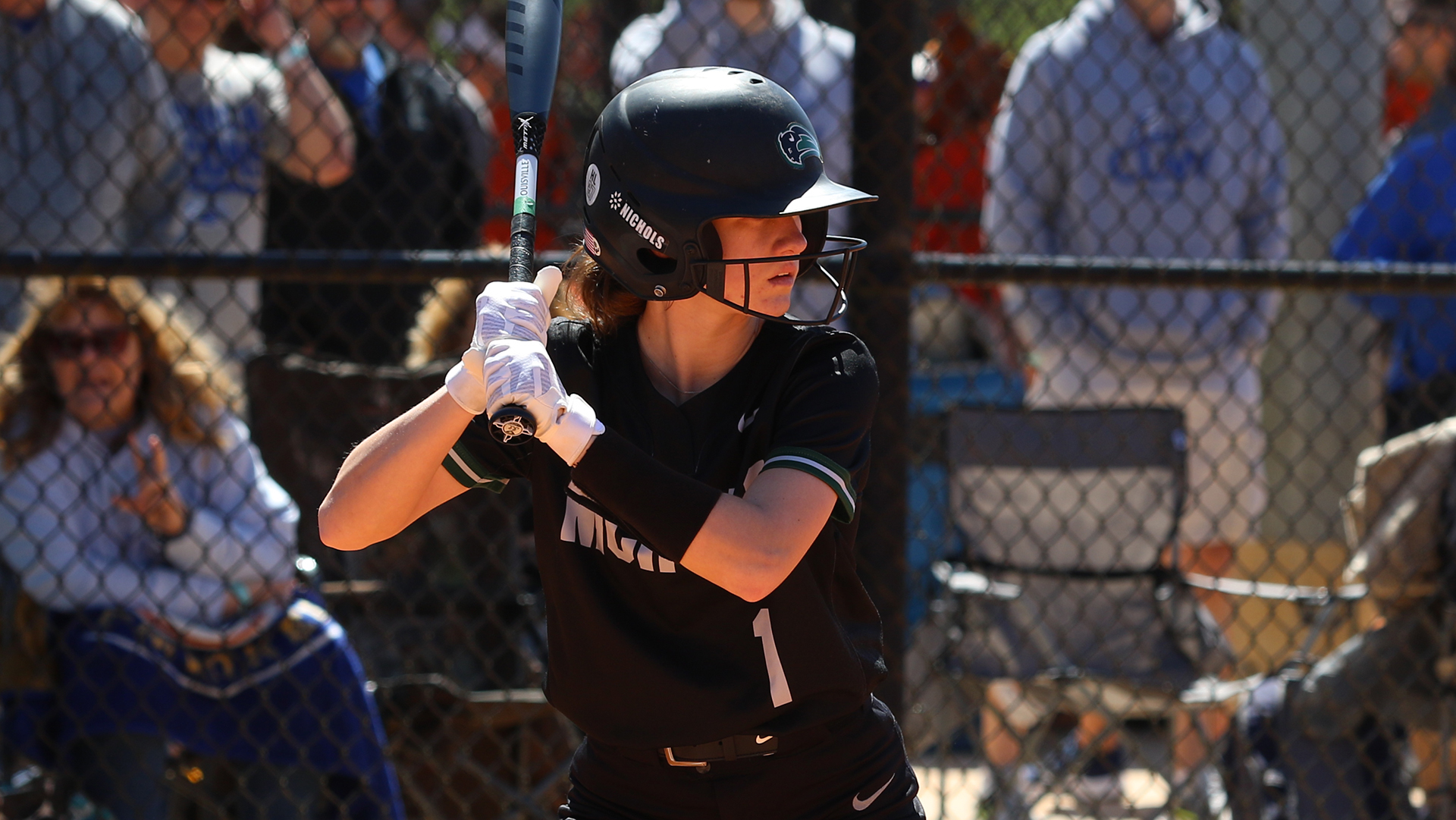 Allie Brown - Softball - Nichols College Athletics