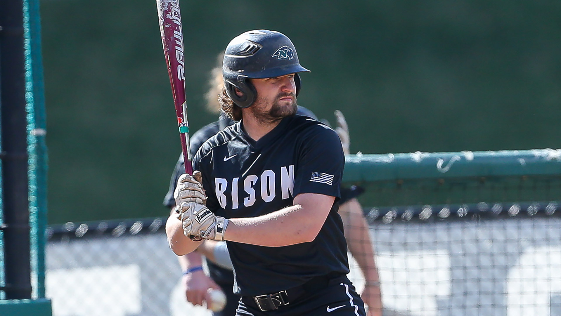 Brad Ellis - Baseball - Nichols College Athletics
