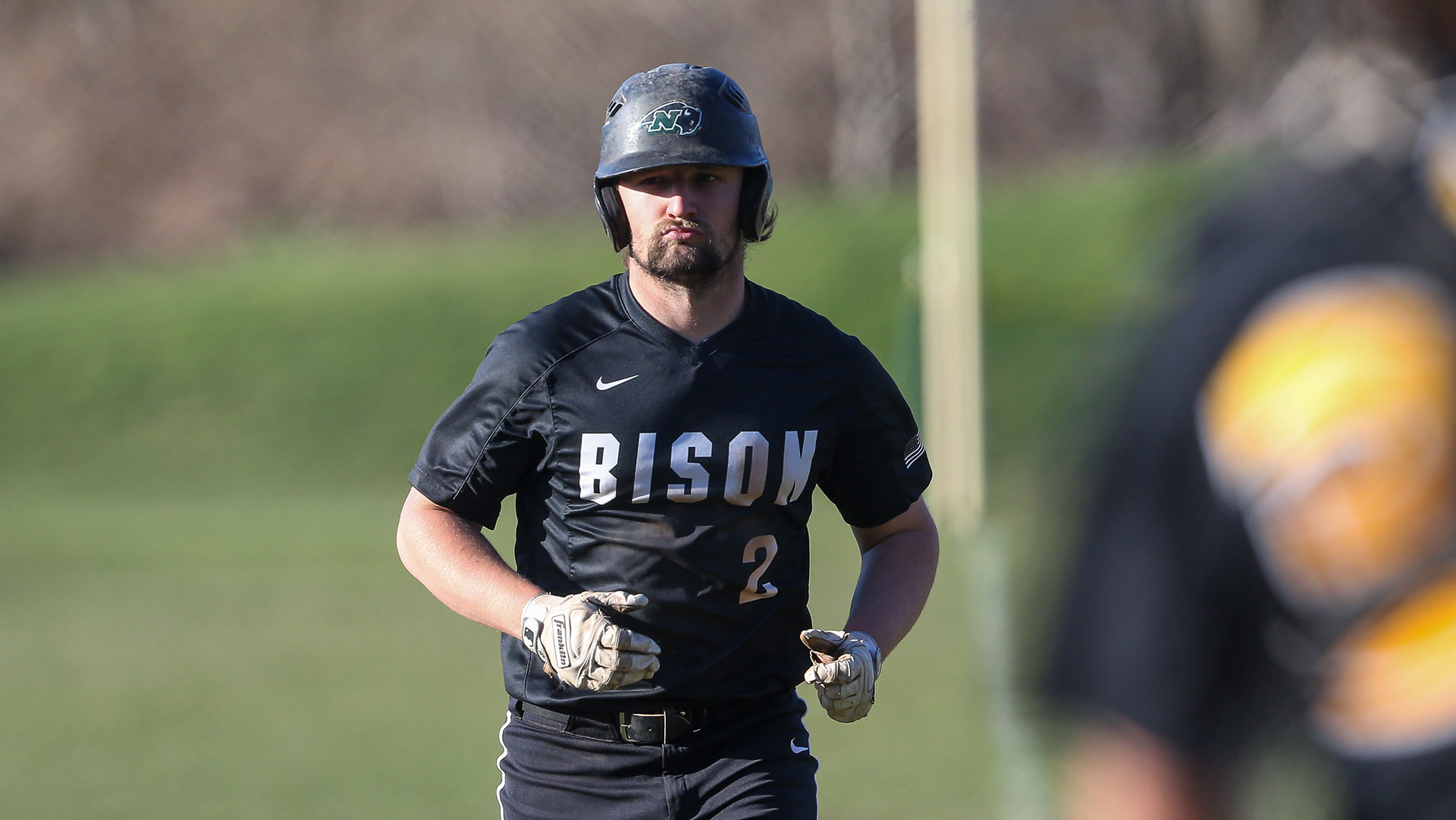 Brad Ellis - Baseball - Nichols College Athletics