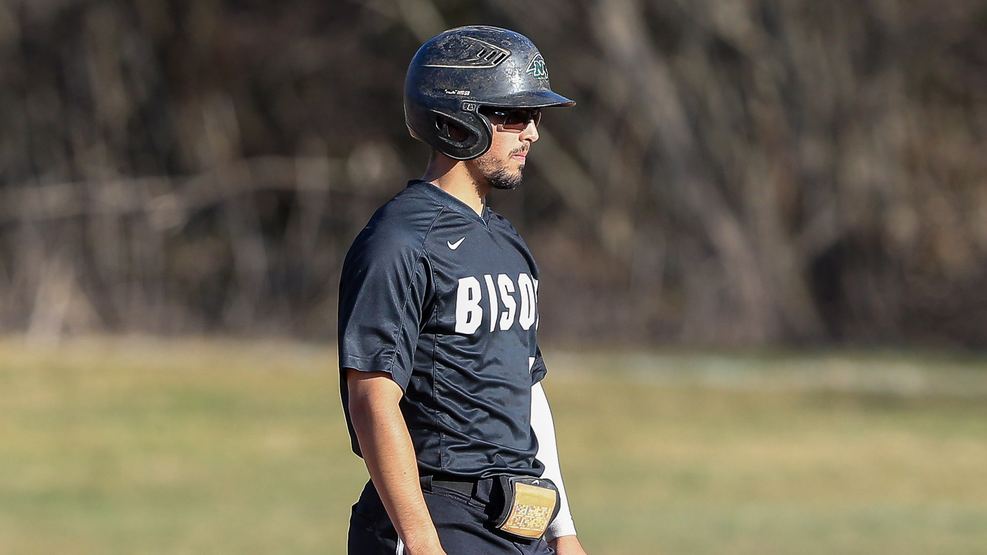 Victor Valentin - Baseball - Nichols College Athletics