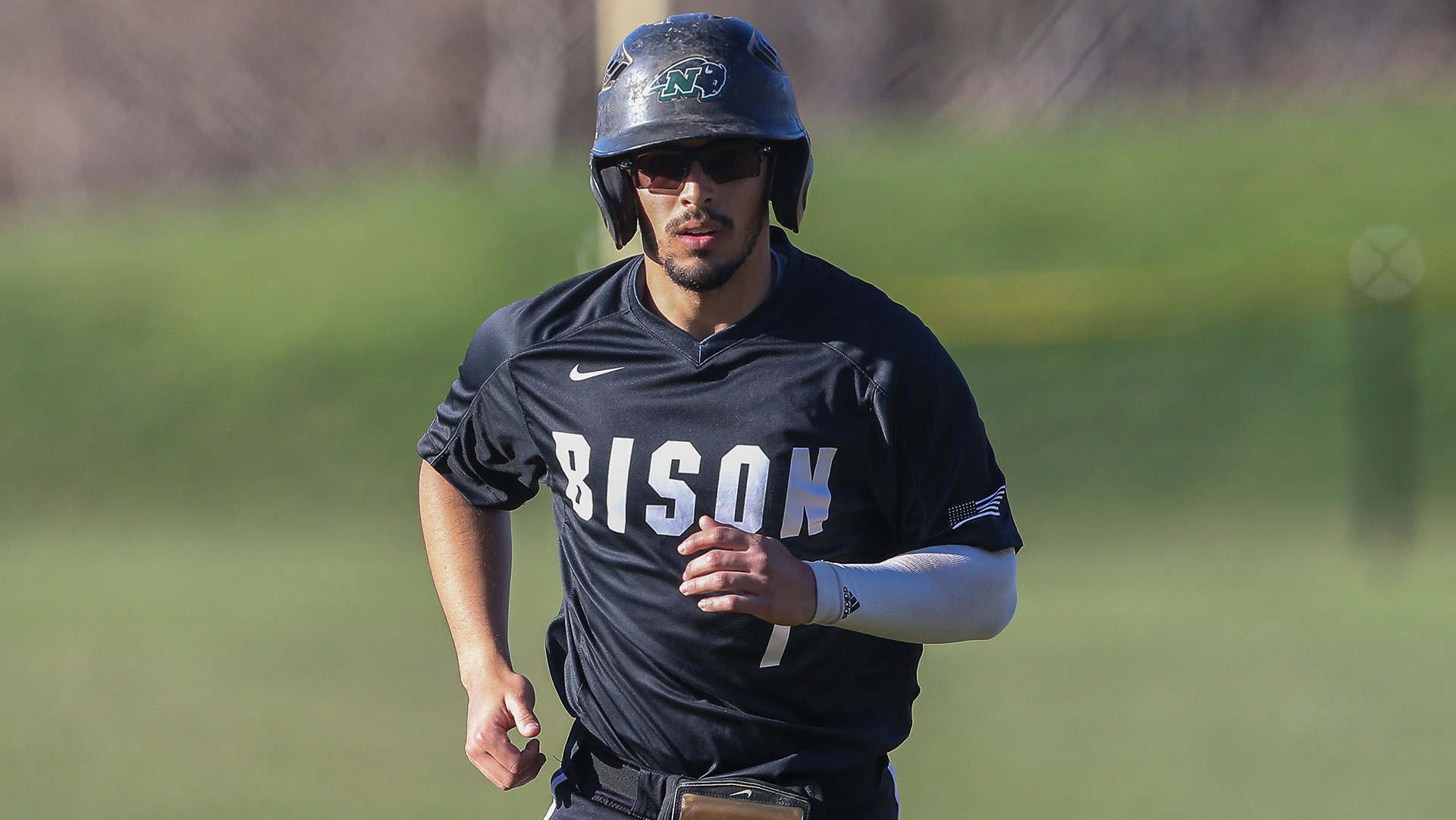 Victor Valentin - Baseball - Nichols College Athletics