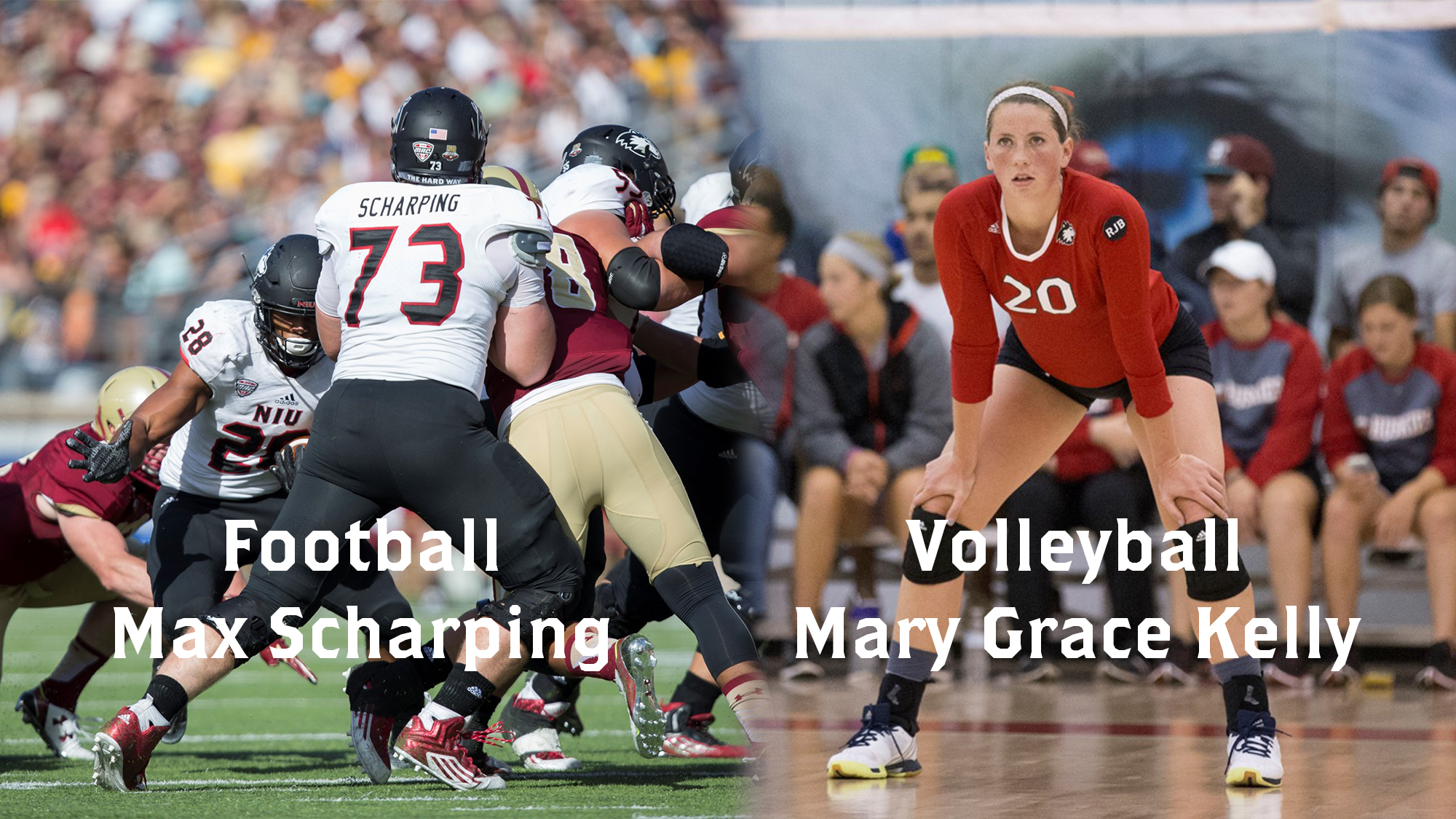 Max Scharping - Football - NIU Athletics